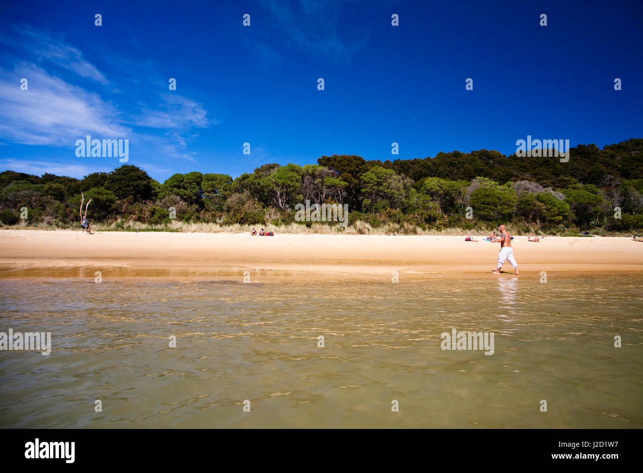 Stunning Anchorage beach in the middle of New Zealand's Abel Tasman ...