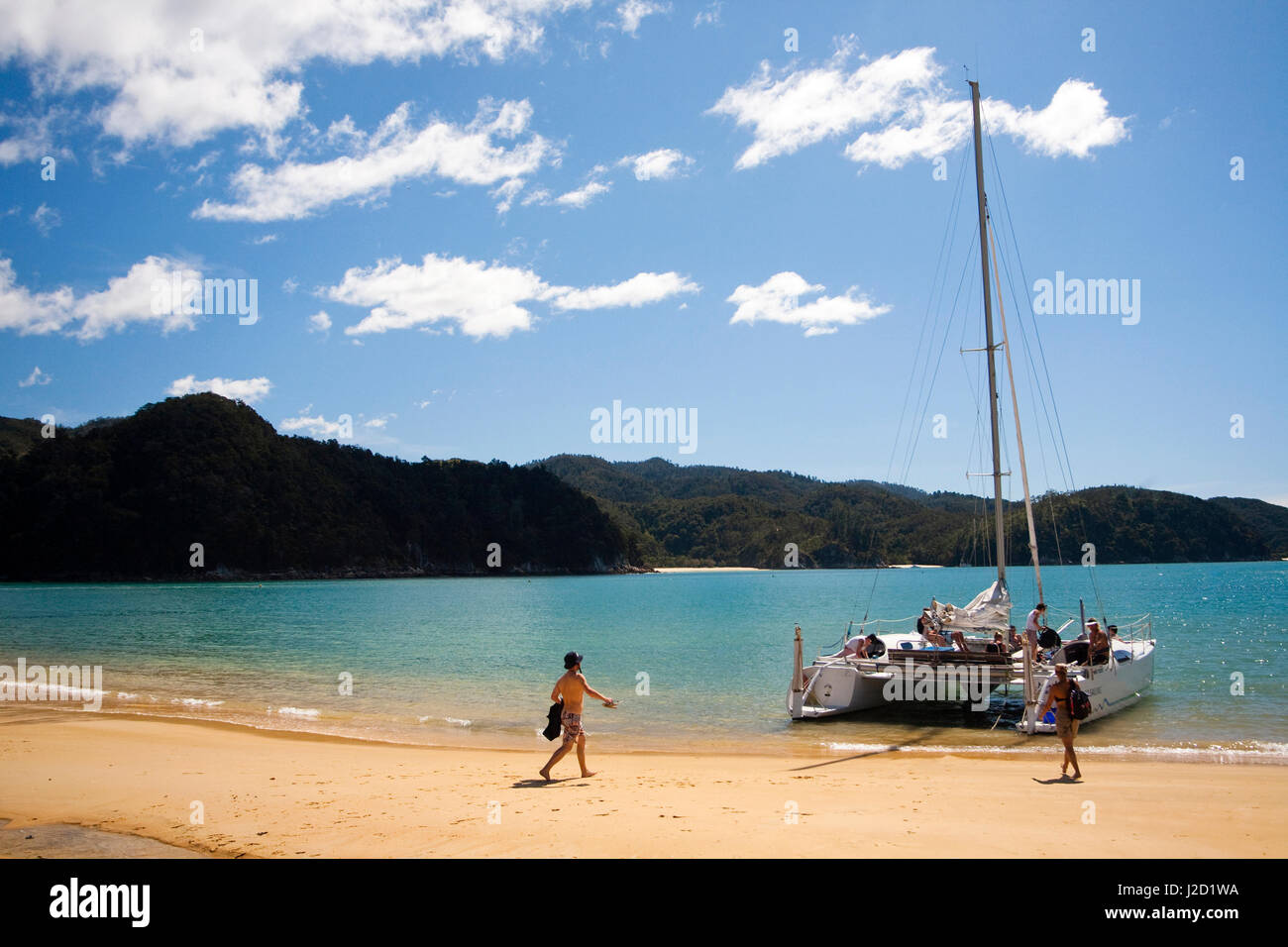 Stunning Anchorage beach in the middle of New Zealand's Abel Tasman ...