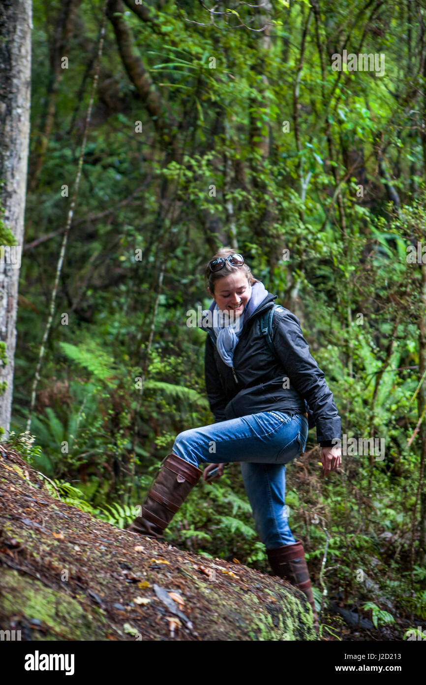 New Zealand. Stewart Island, Ulva Island. Magnificent trails for hiking ...