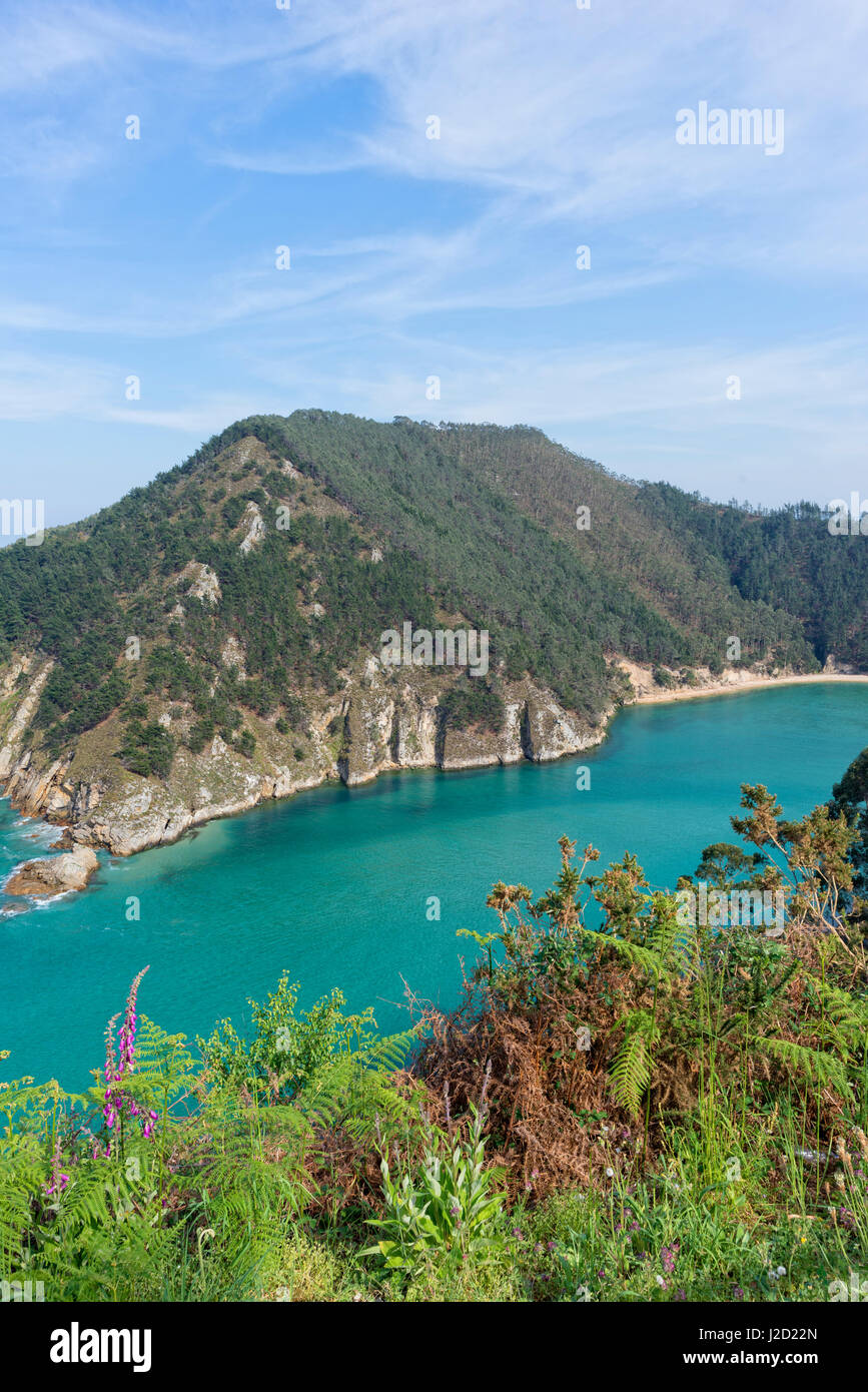 Pechon hi-res stock photography and images - Alamy