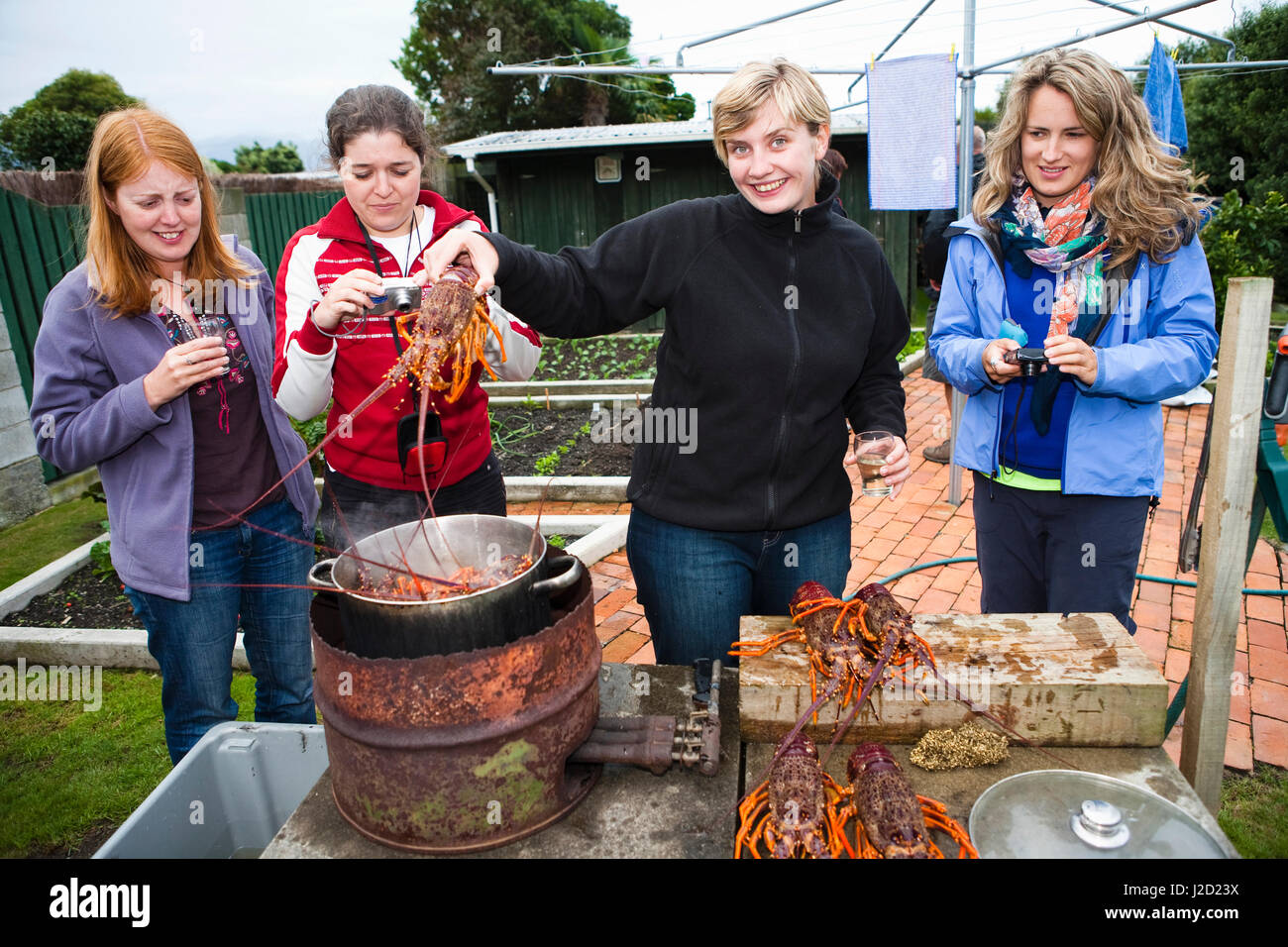 Girls prepare freshly caught crayfish for dinner in Kaikoura, New ...