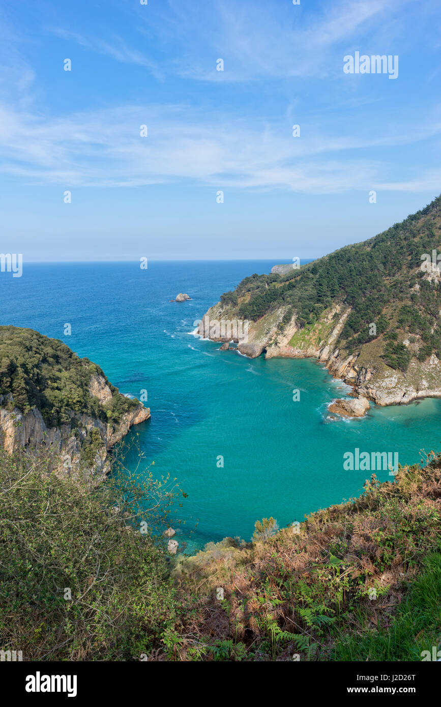 Pechon hi-res stock photography and images - Alamy