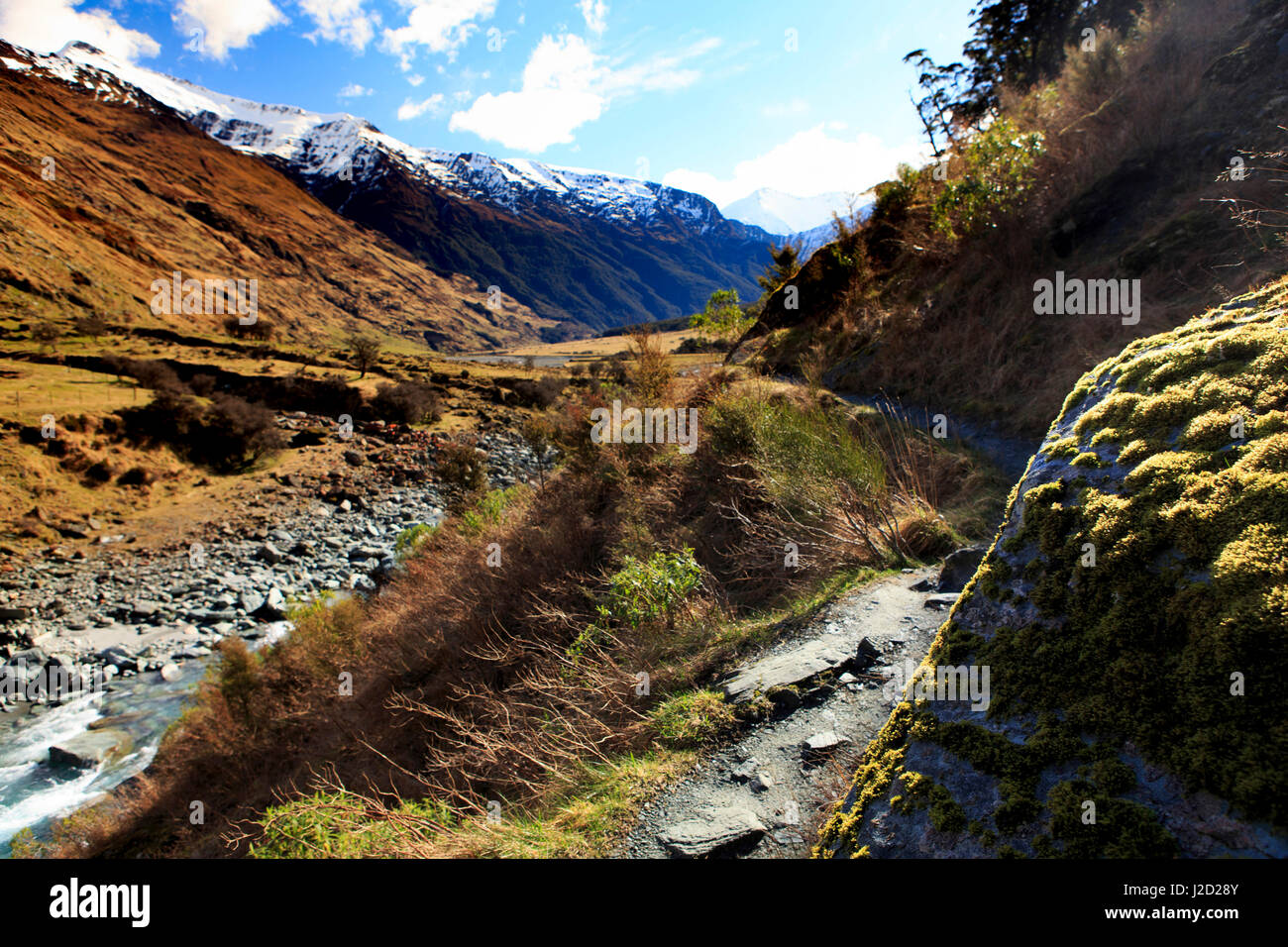 The lower reaches of the Fox Glacier hiking trail in Wanaka, New ...