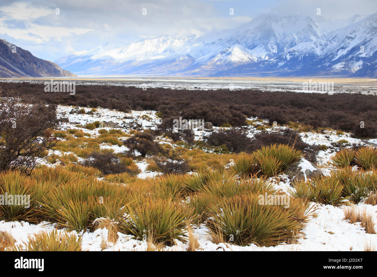The spectacular scenery of the Kea Point Track, which leads to the ...