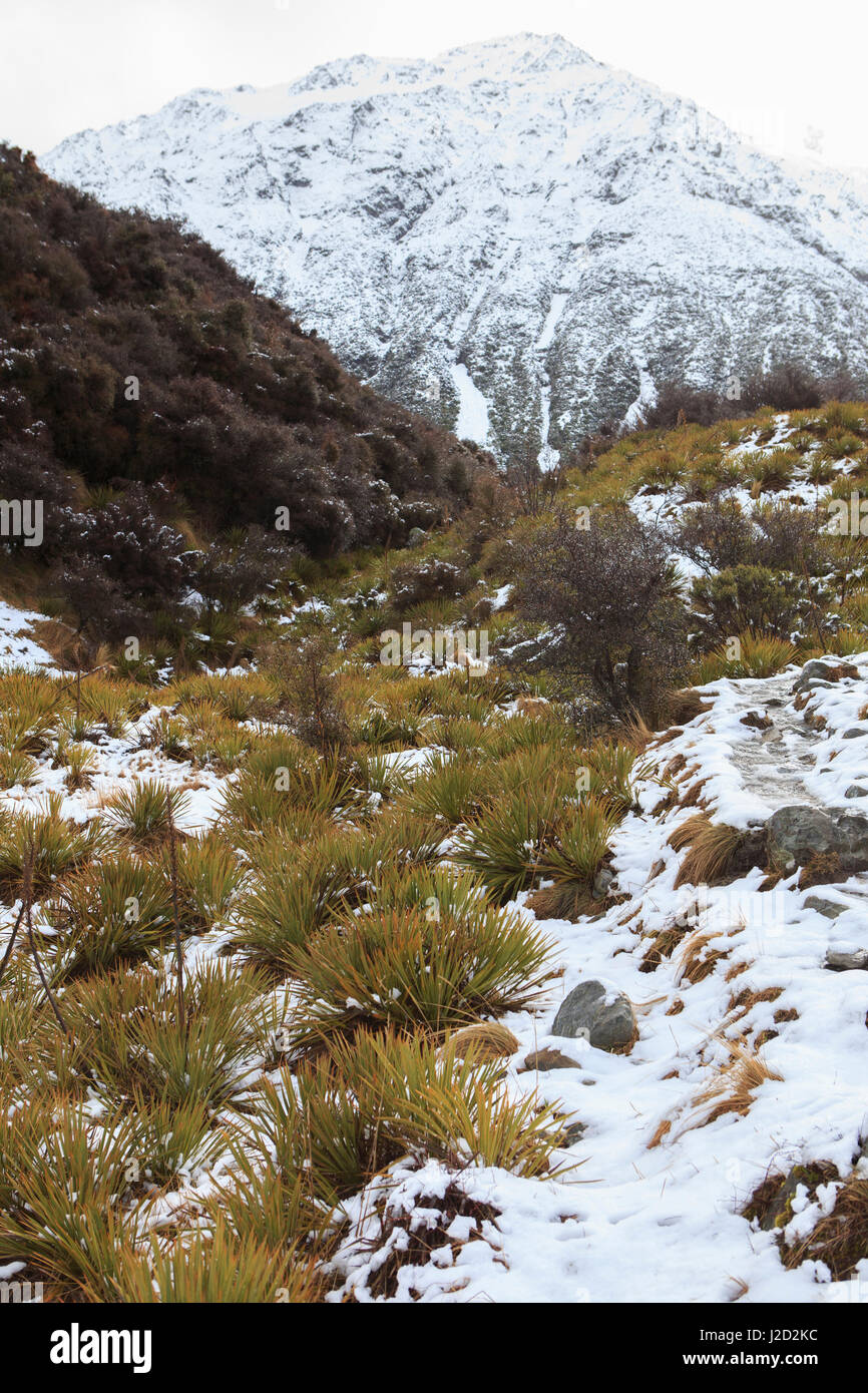The spectacular scenery of the Kea Point Track, which leads to the ...