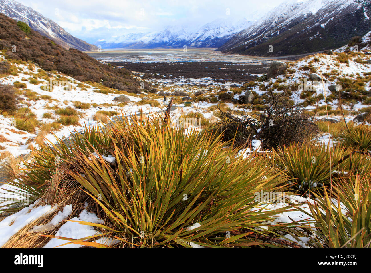 The spectacular scenery of the Kea Point Track, which leads to the ...