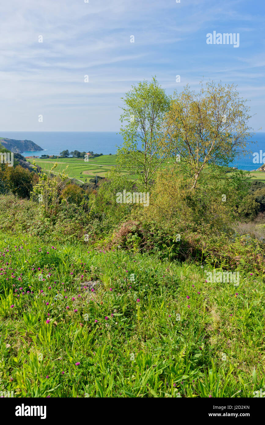 For the pechon tip in Pesues, Cantabria Stock Photo - Alamy