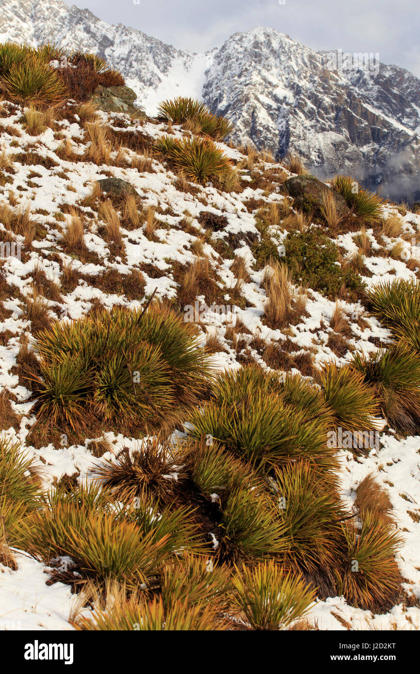 The spectacular scenery of the Kea Point Track, which leads to the ...