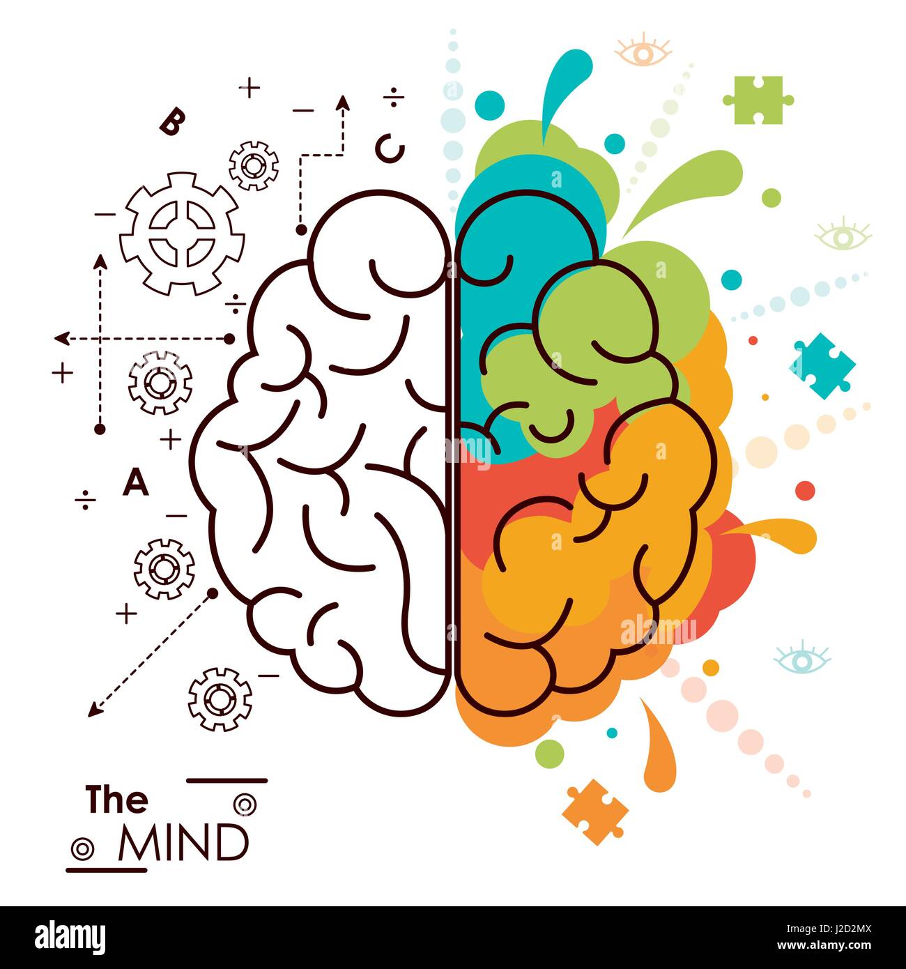 Left brain right brain functions hi-res stock photography and images ...