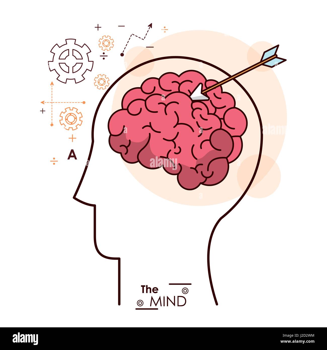 the mind head human brain arrow strategy business Stock Vector Image ...