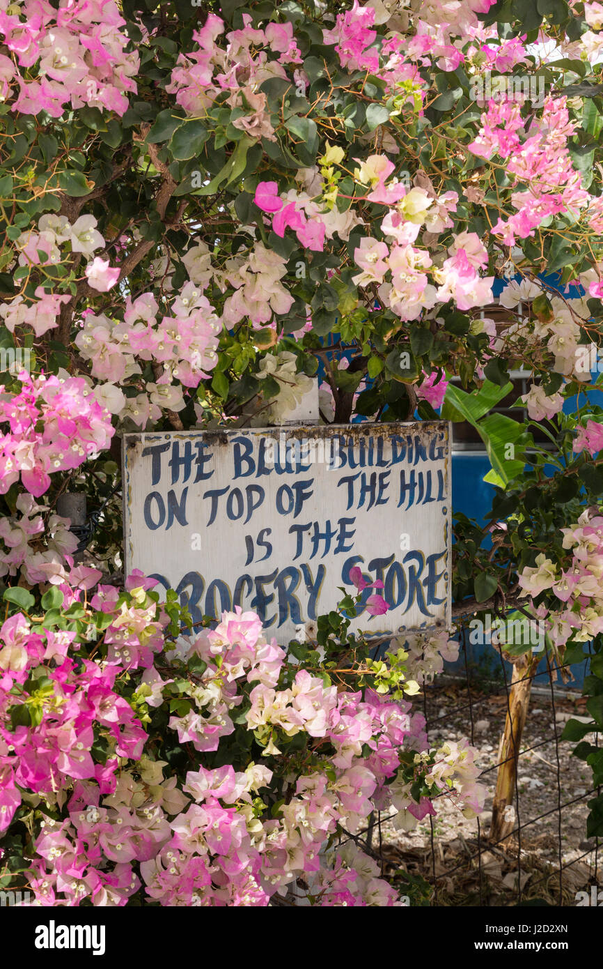 Exuma island bougainvillea sign credit hi-res stock photography and ...