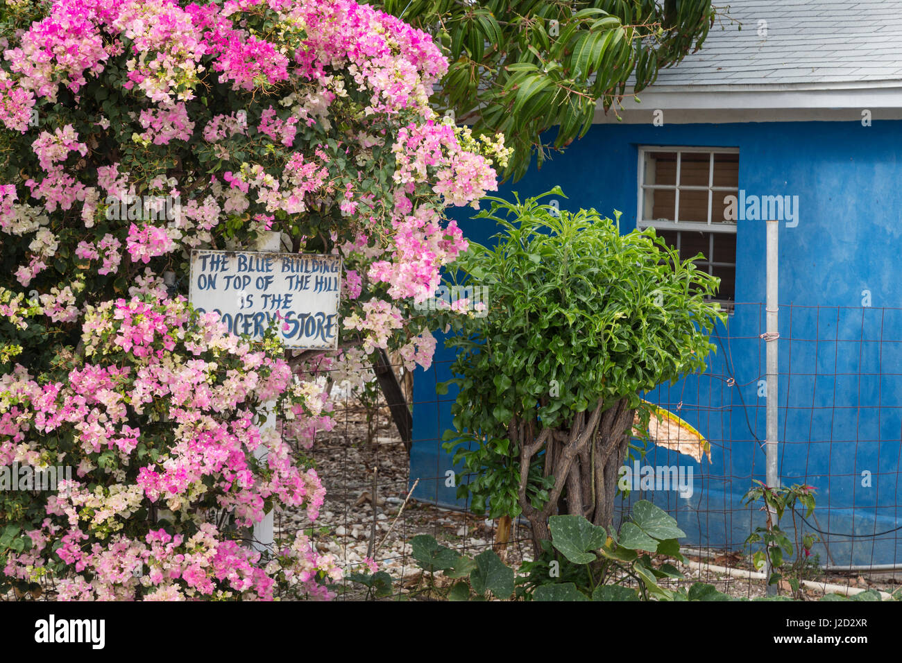 Exuma island bougainvillea sign credit hi-res stock photography and ...