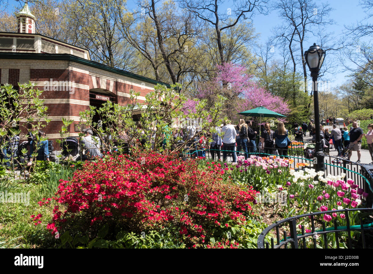 Central Park in Springtime, New York City, USA Stock Photo - Alamy