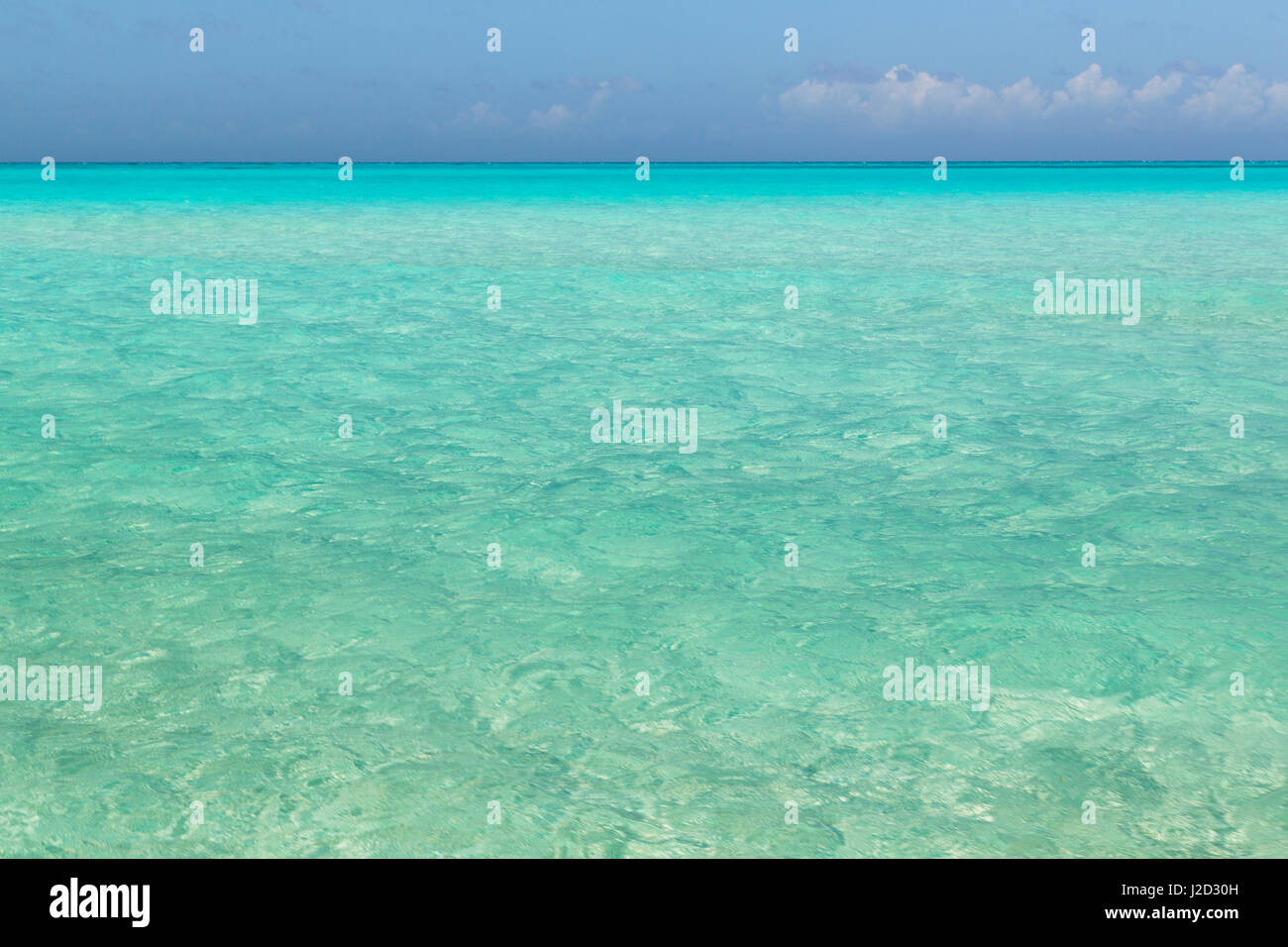 Bahamas, Exuma Island. Seascape of Shroud Cay. Credit as: Don Paulson ...