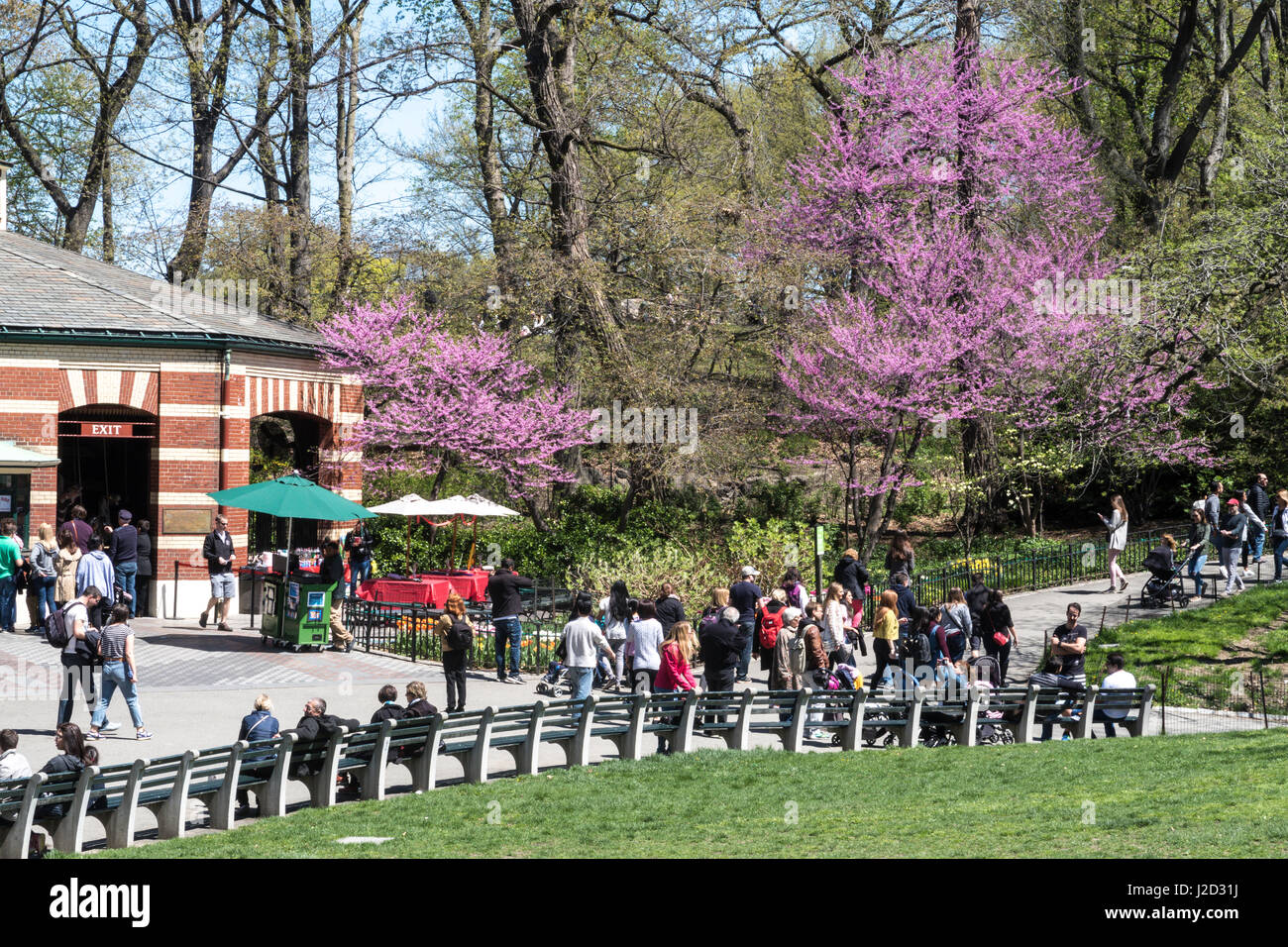 Central Park in Springtime, New York City, USA Stock Photo - Alamy