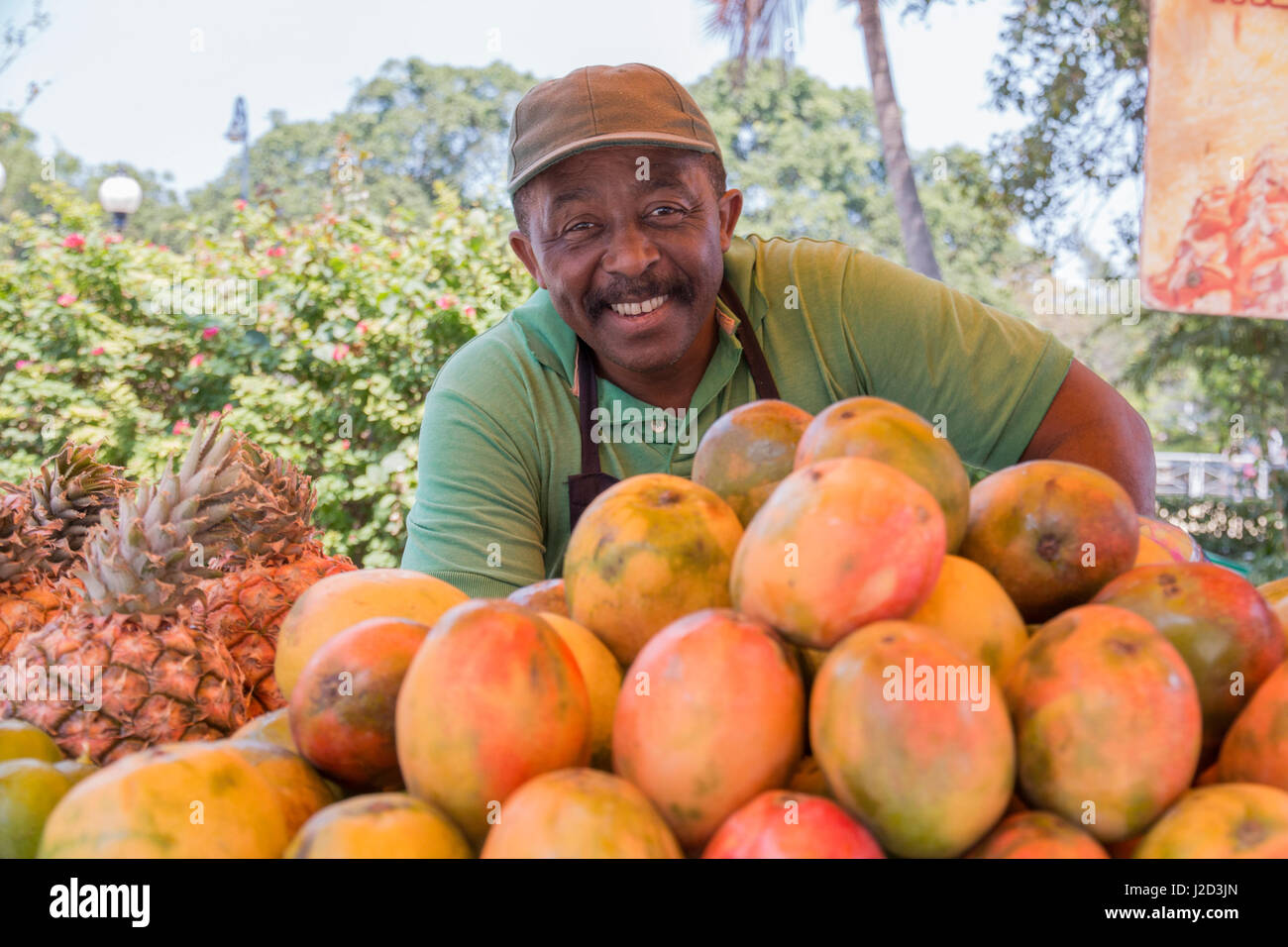 Caribbean, Cuba, Havana. Fruit vendor. (Editorial Use Only Stock Photo ...