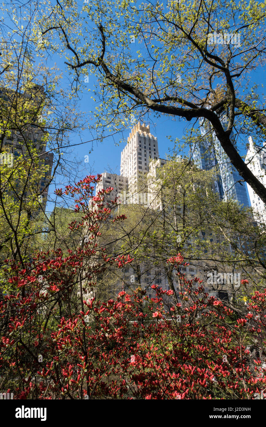 Central Park in Springtime, New York City, USA Stock Photo - Alamy