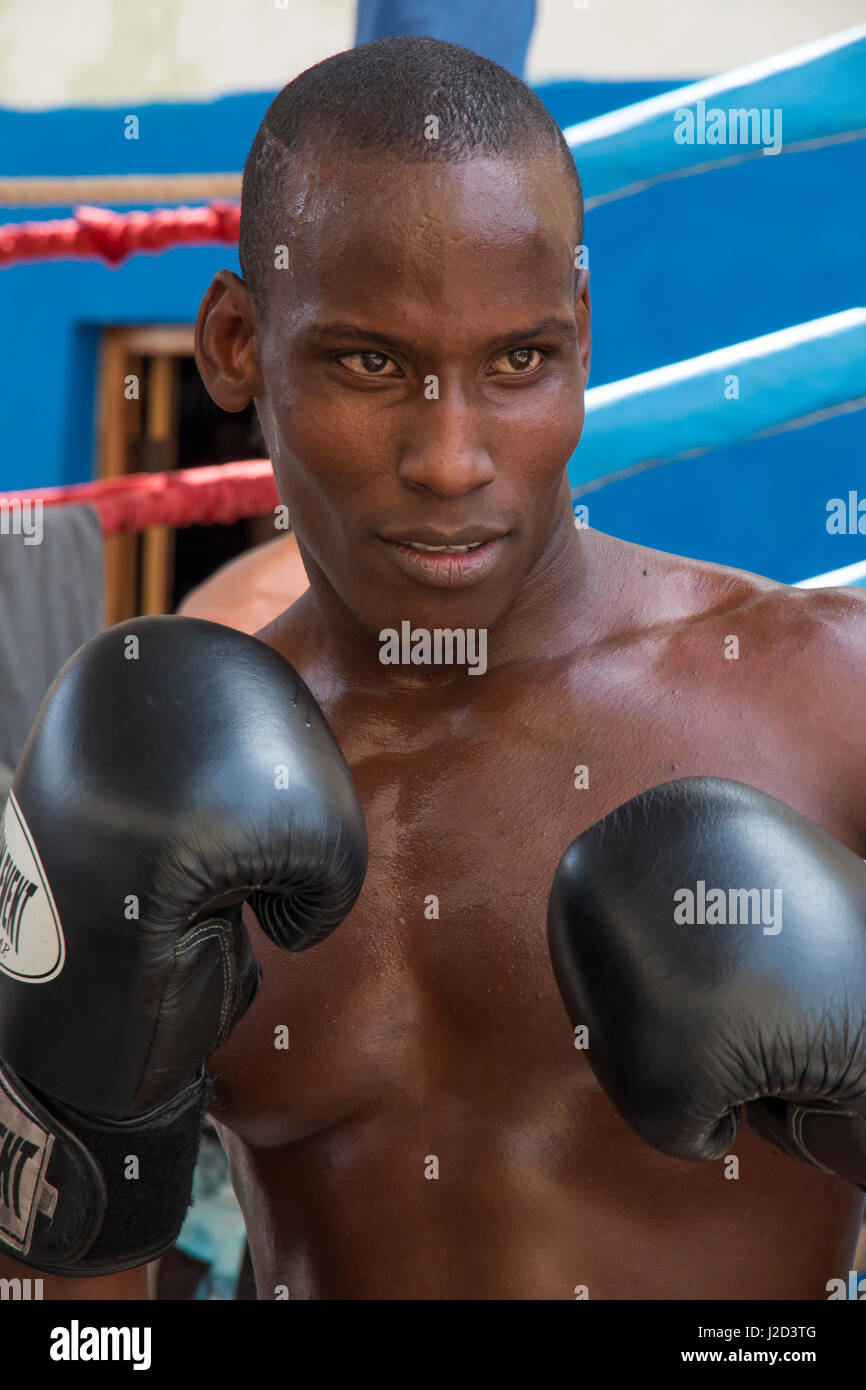 Caribbean, Cuba, Havana, Rafael Trejo Boxing Gym, a Cuban center to ...