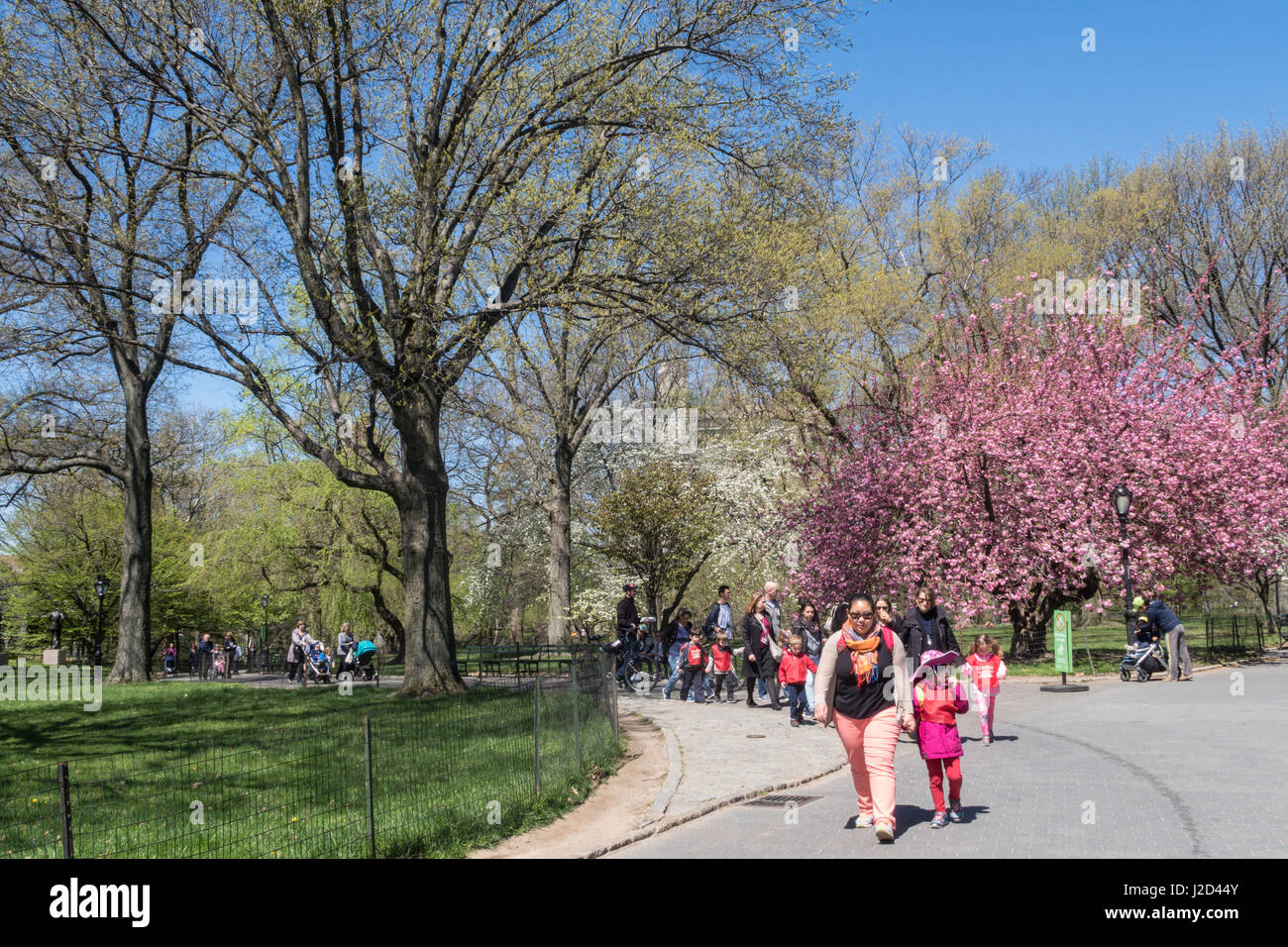 Central Park in Springtime, New York City, USA Stock Photo - Alamy