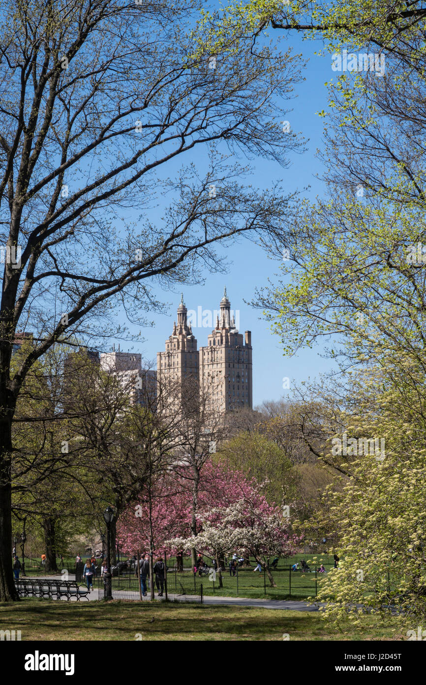 Central Park in Springtime, New York City, USA Stock Photo - Alamy