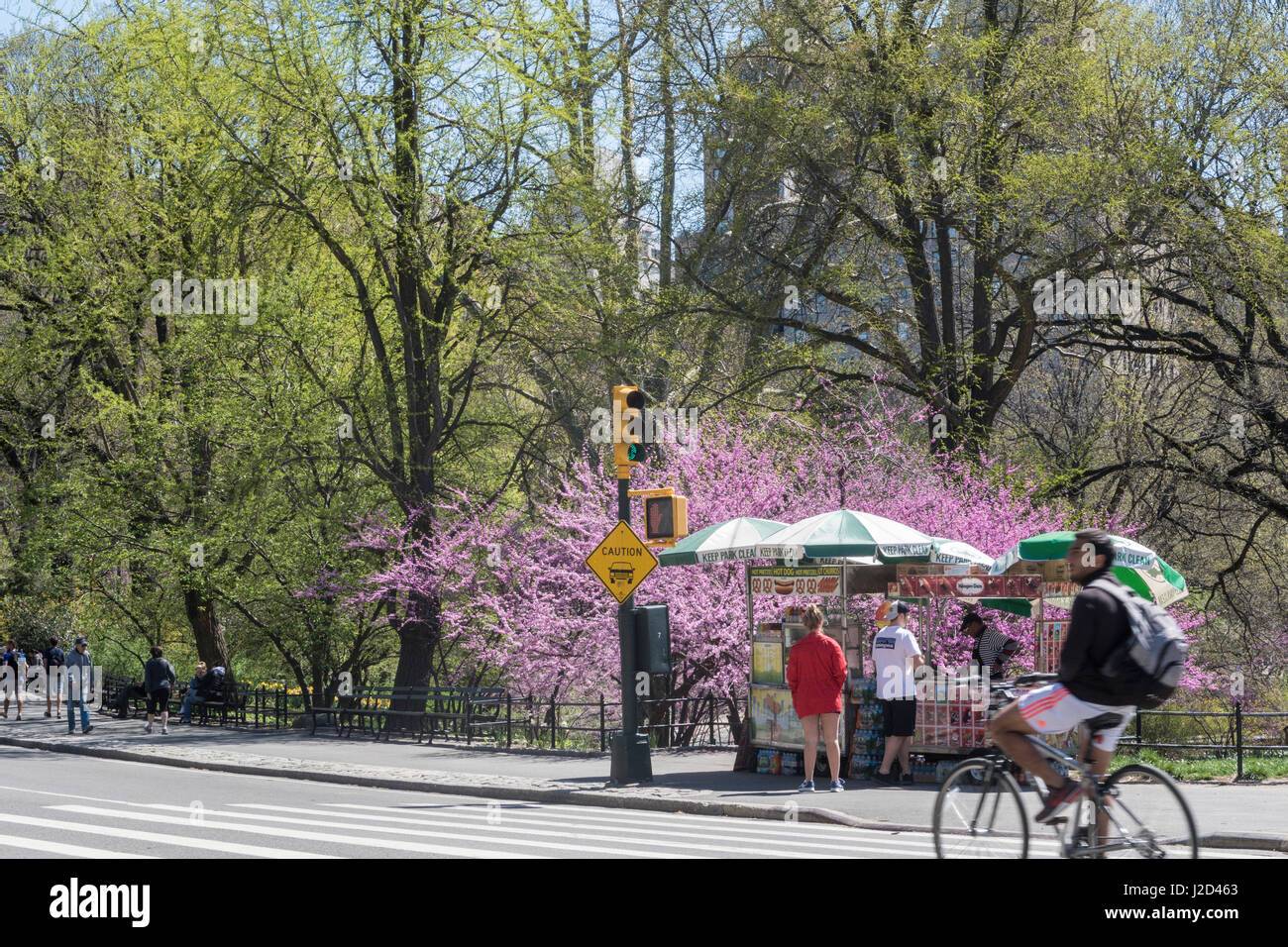 Central Park in Springtime, New York City, USA Stock Photo - Alamy