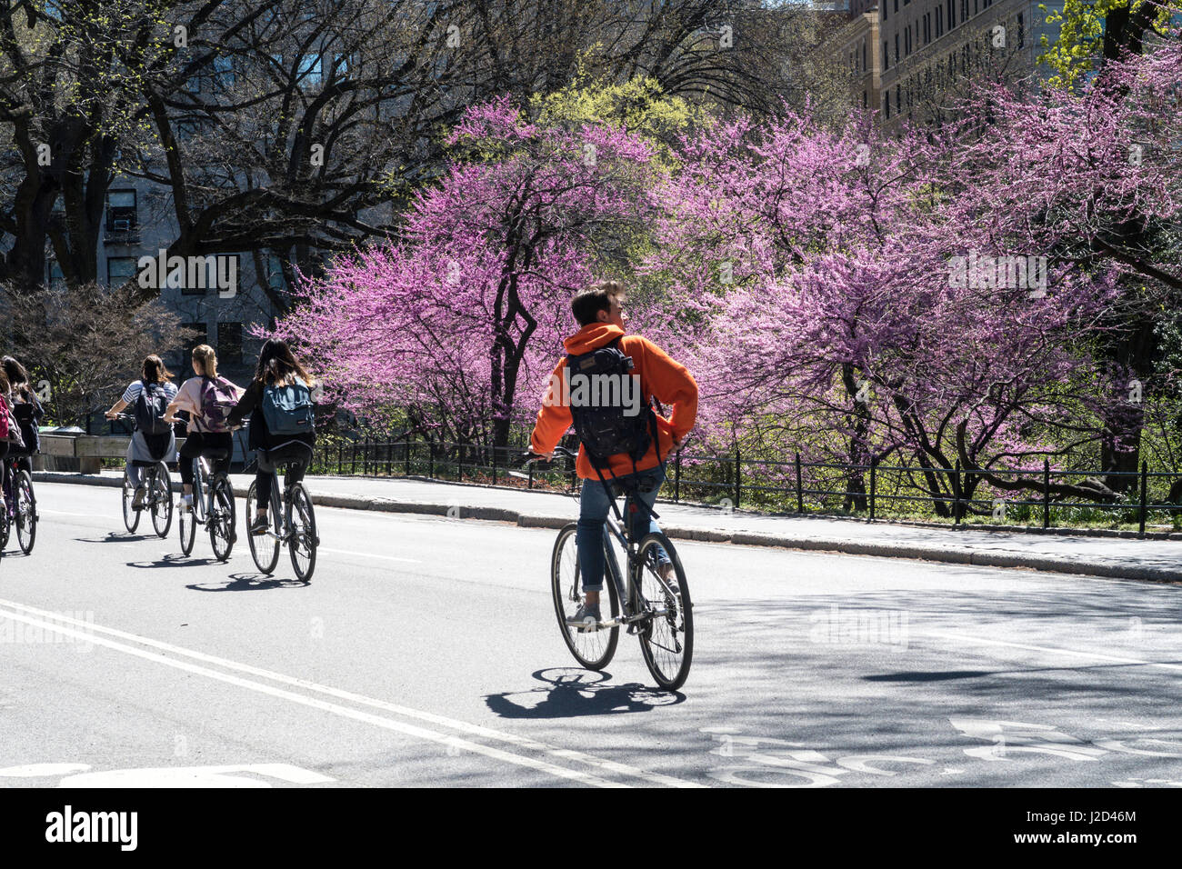 Central Park in Springtime, New York City, USA Stock Photo - Alamy