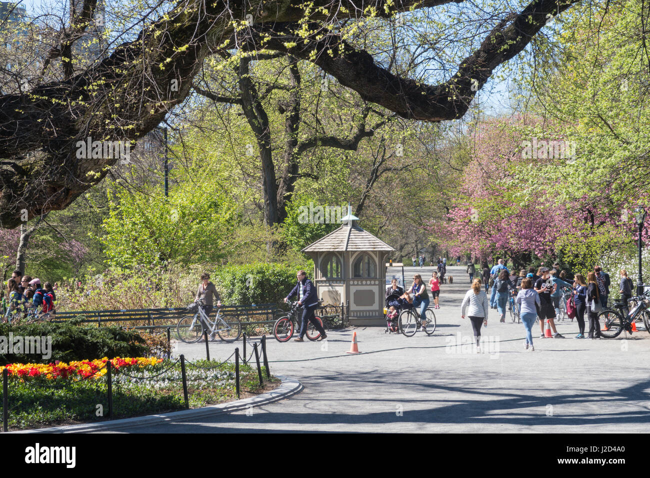 Central Park in Springtime, New York City, USA Stock Photo - Alamy