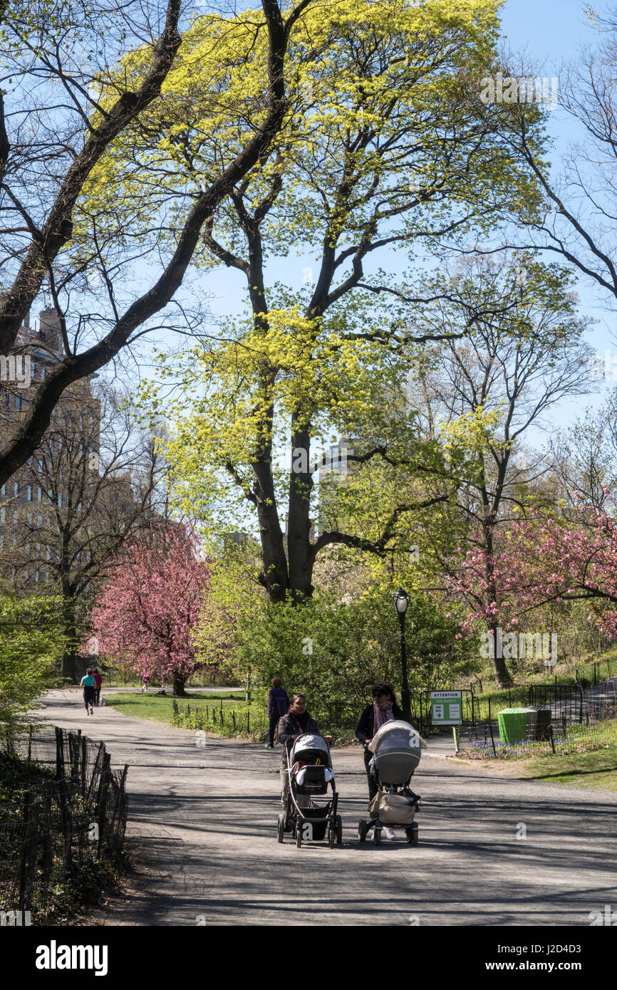 Central Park in Springtime, New York City, USA Stock Photo - Alamy