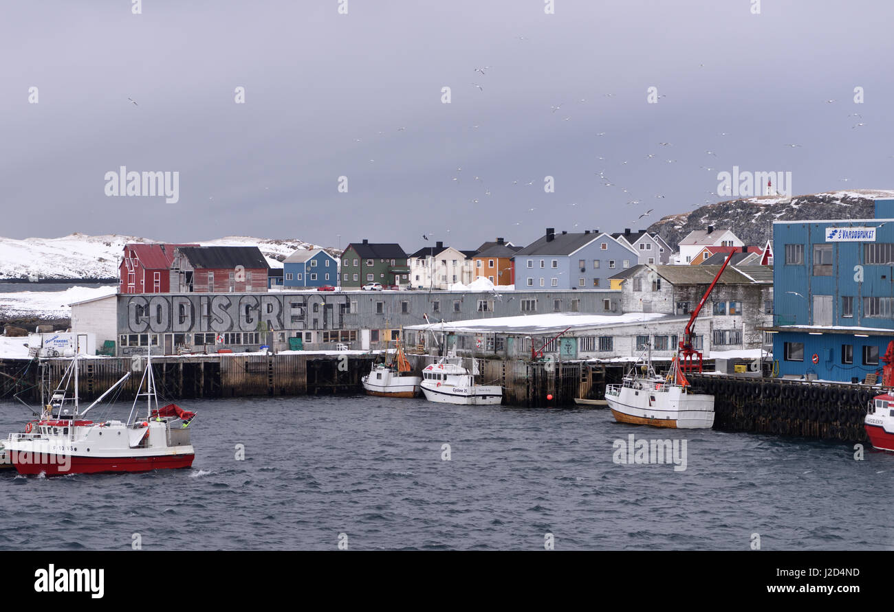 ‘Cod is Great’ painted on the side of a building by Vardo harbour ...