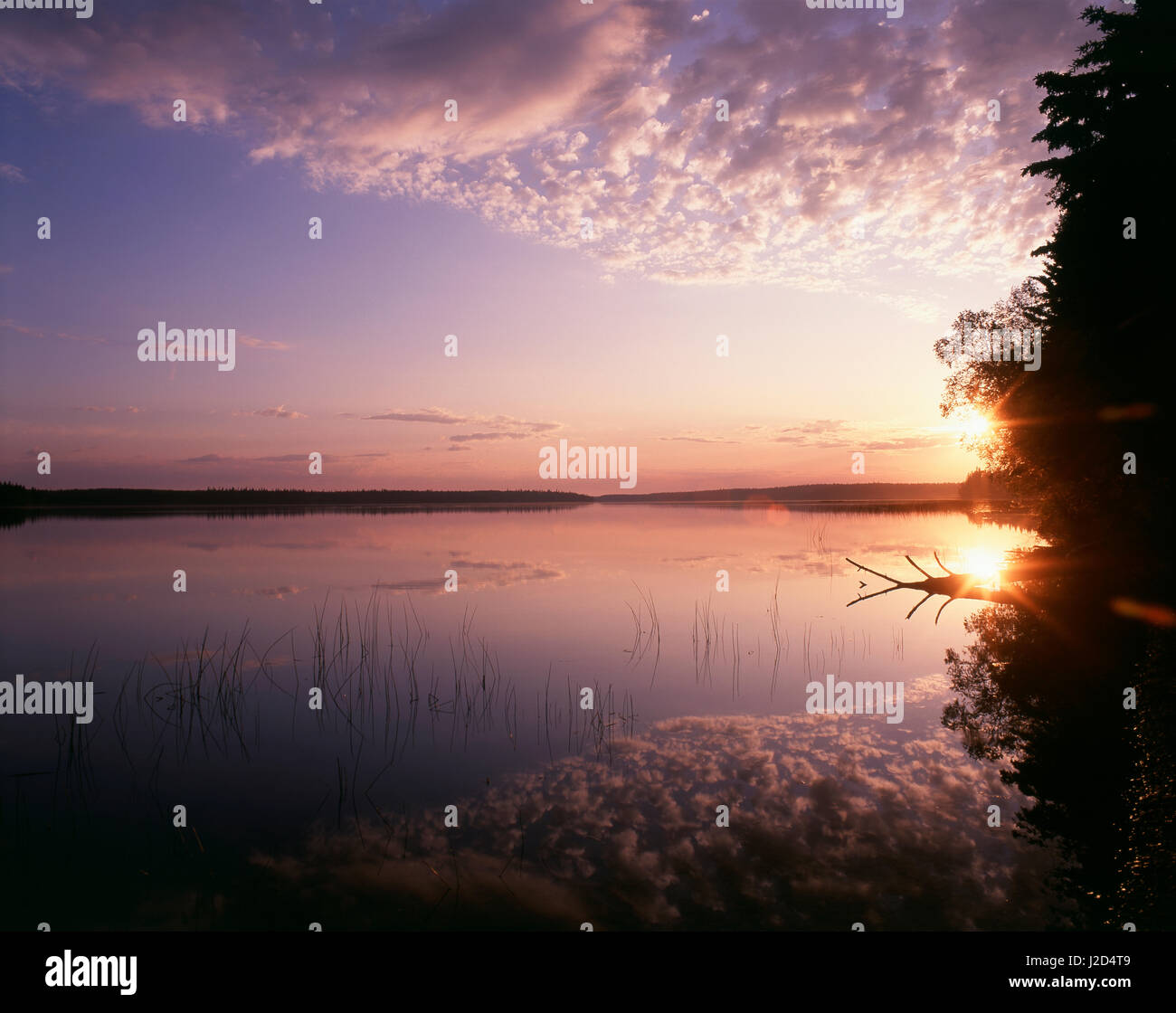 Canada, Manitoba, Duck Mountain Provincial Park (Large format sizes ...