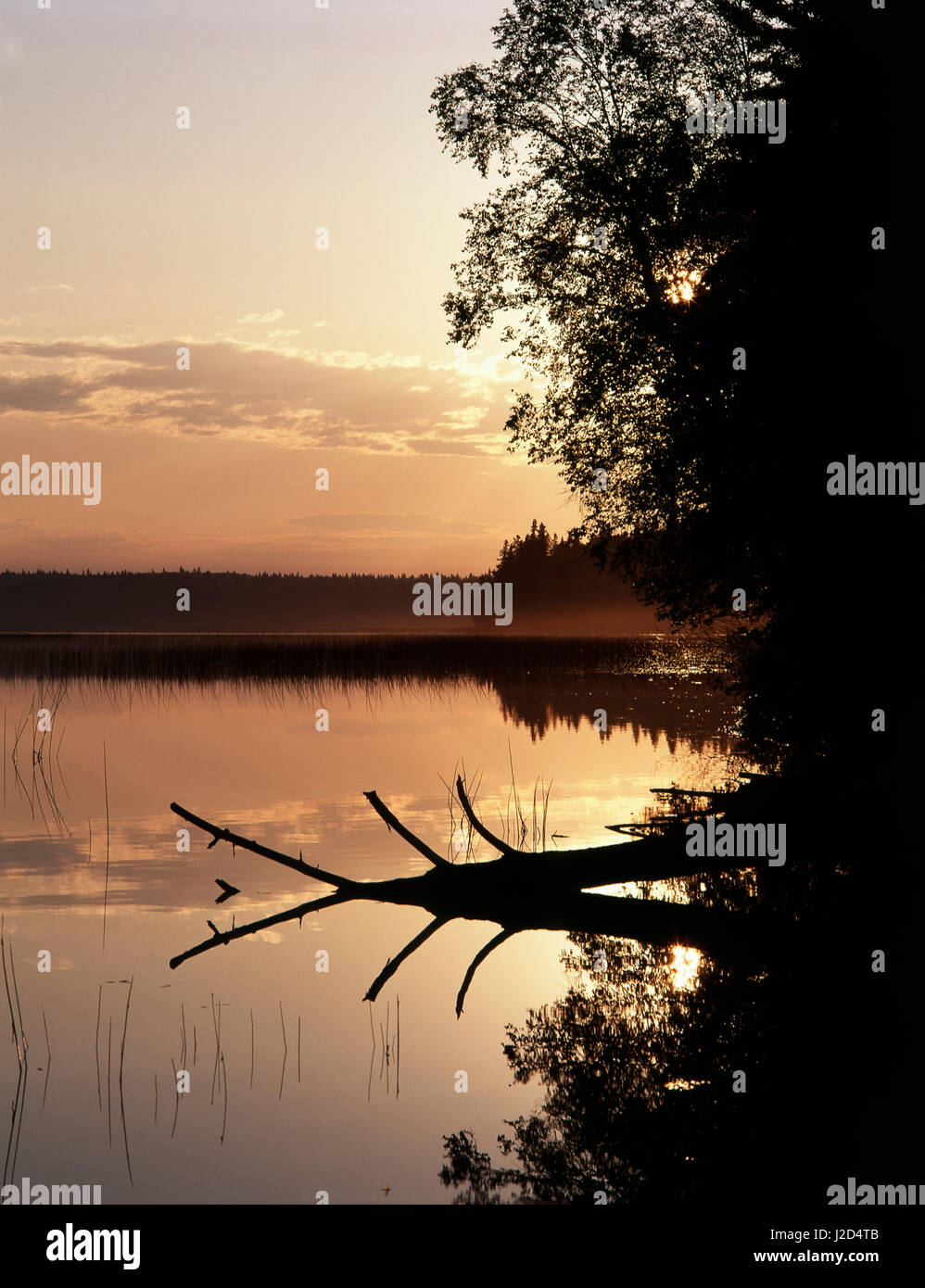 Canada, Manitoba, Childs lake in Duck Mountain Provincial Park (Large ...