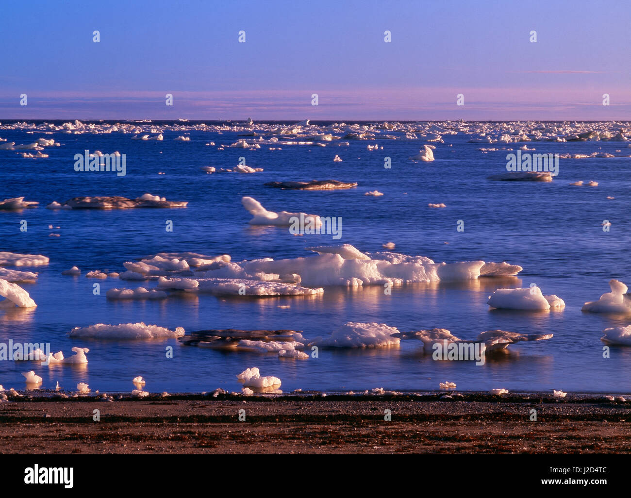 Canada, Manitoba, Churchill, ice floe in Hudson Bay (Large format sizes ...