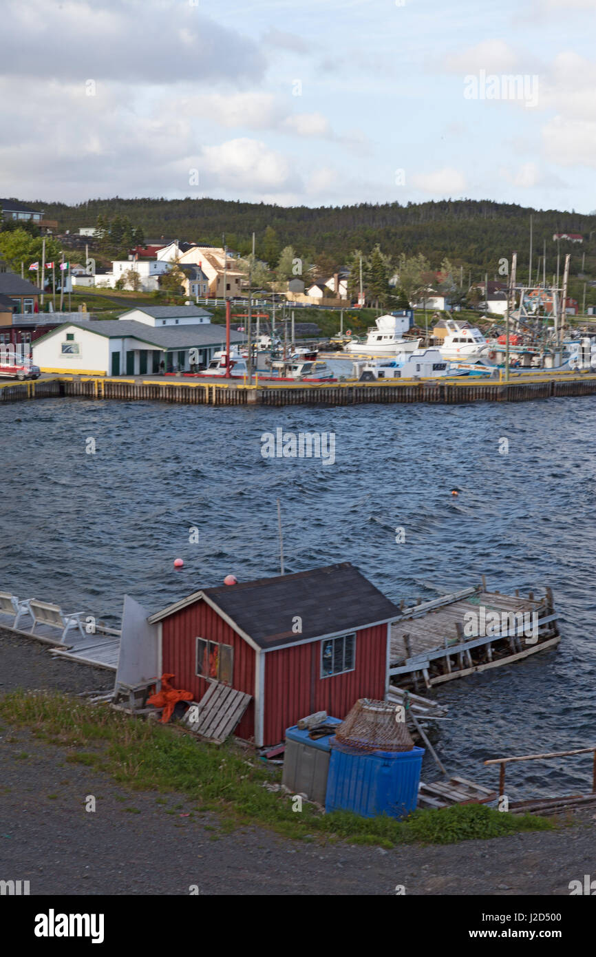 Newfoundland fleet hi-res stock photography and images - Alamy