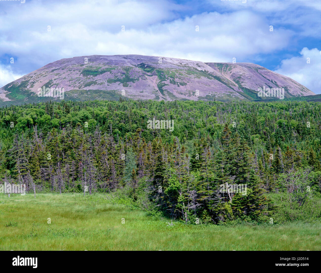 Canada, Newfoundland, Gros Morne National Park, Billion year-old rock ...