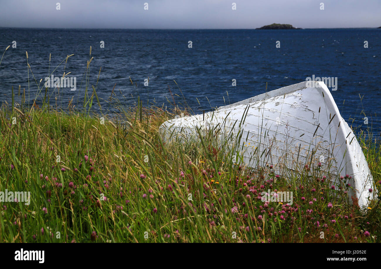 Old boat in trinity bay hi-res stock photography and images - Alamy