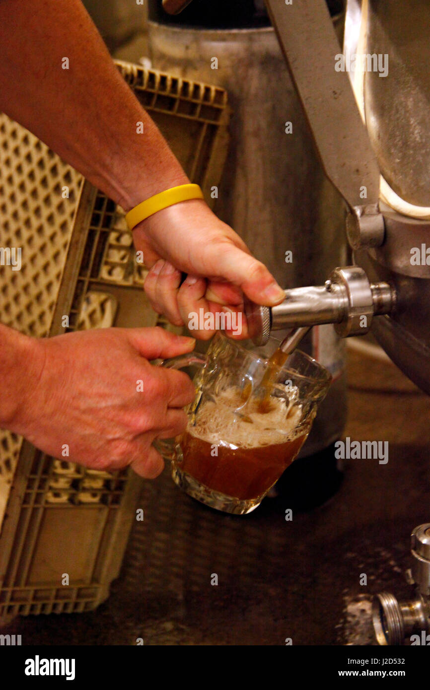 Canada, Nova Scotia, Guysborough. Microbrew tasting at Rare Bird Brew ...