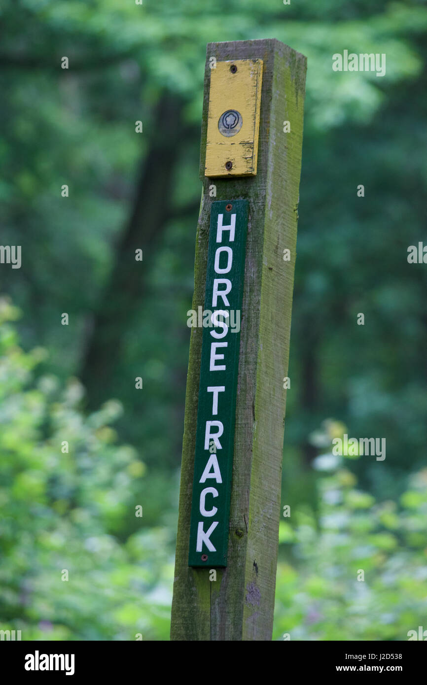 Horse track sign in the woods Stock Photo - Alamy