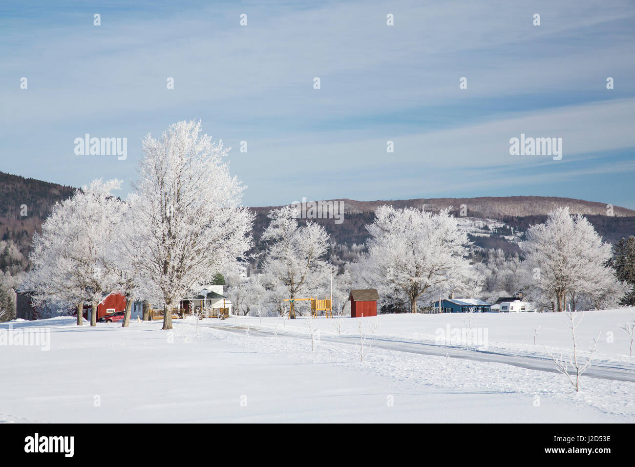 North America, Canada, Nova Scotia, Cape Breton, Farm in Margaree ...