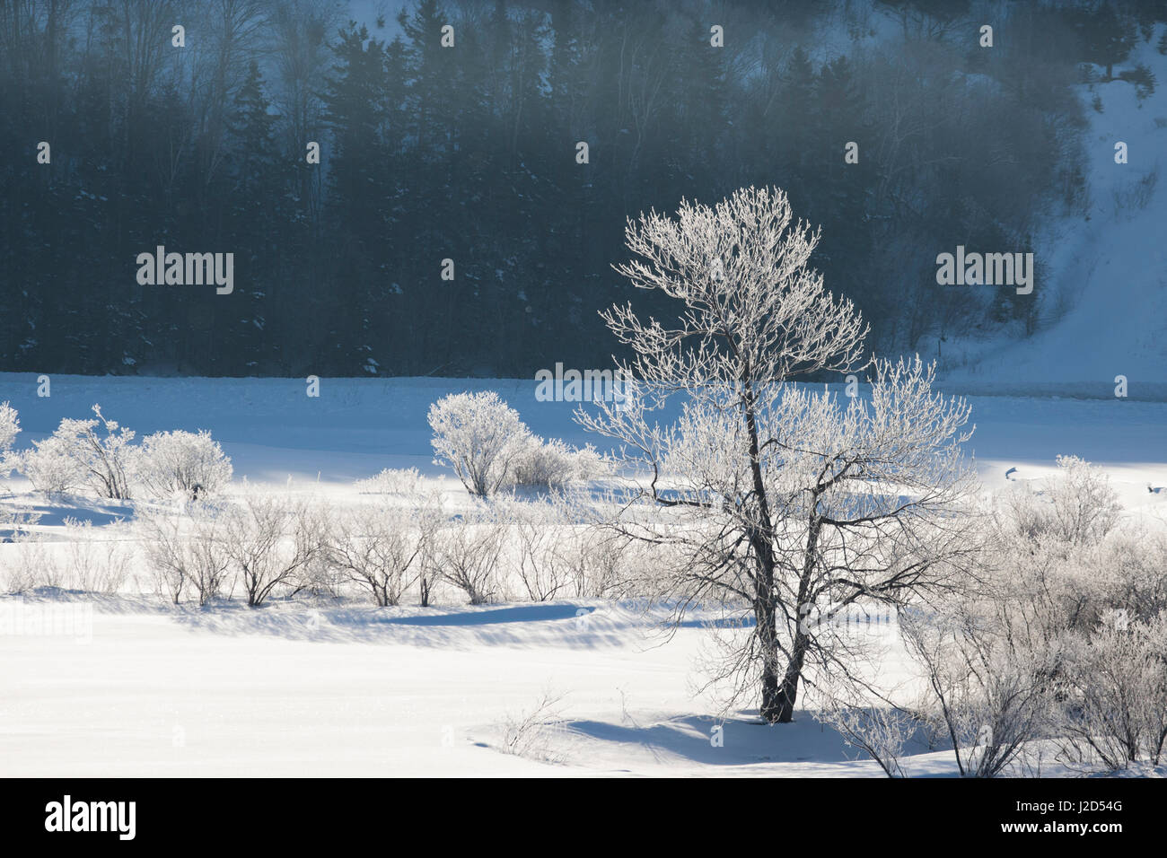 Cabot j hi-res stock photography and images - Alamy