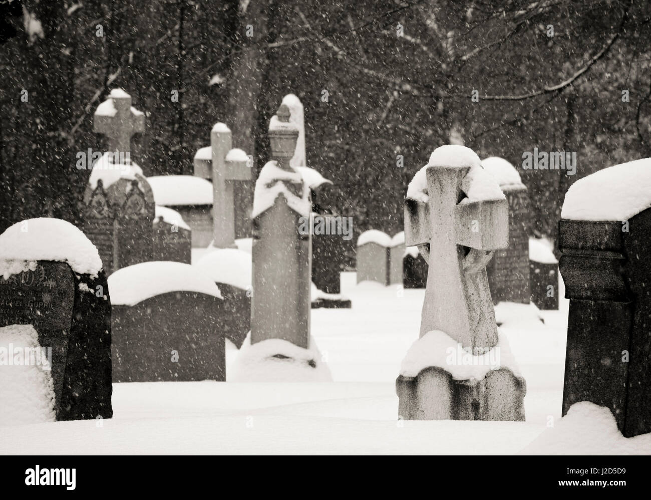 Ottawa, Canada, Beechwood Cemetery. Snow-covered gravestone with snow ...