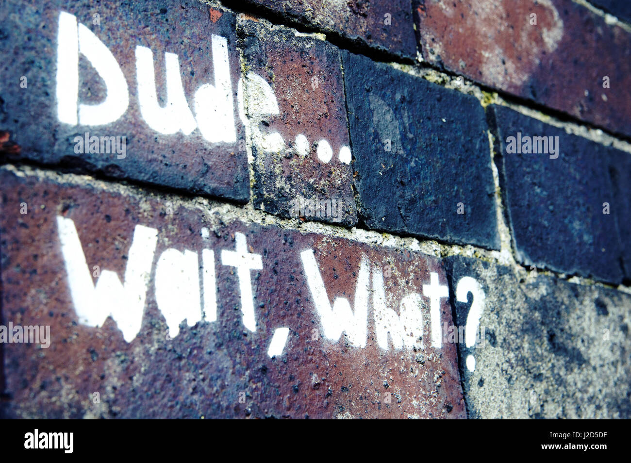 Dude...wait, what? text on brick wall Stock Photo - Alamy