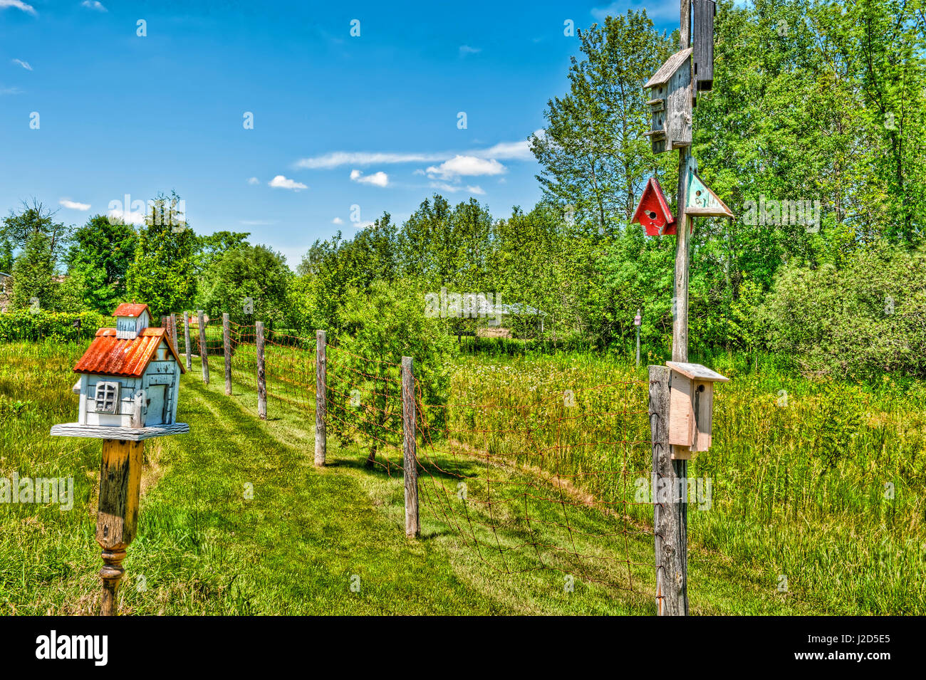 Erin bird houses hi-res stock photography and images - Alamy