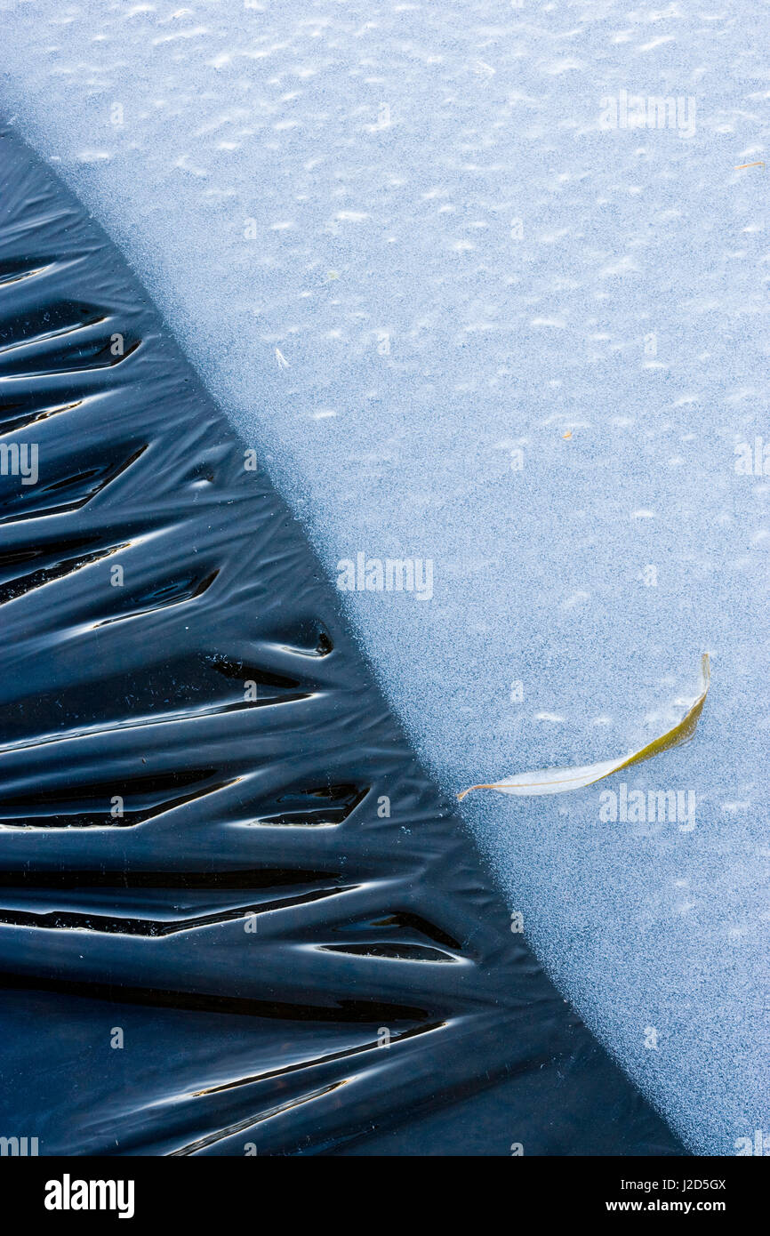 Mount st bruno conservation hi-res stock photography and images - Alamy