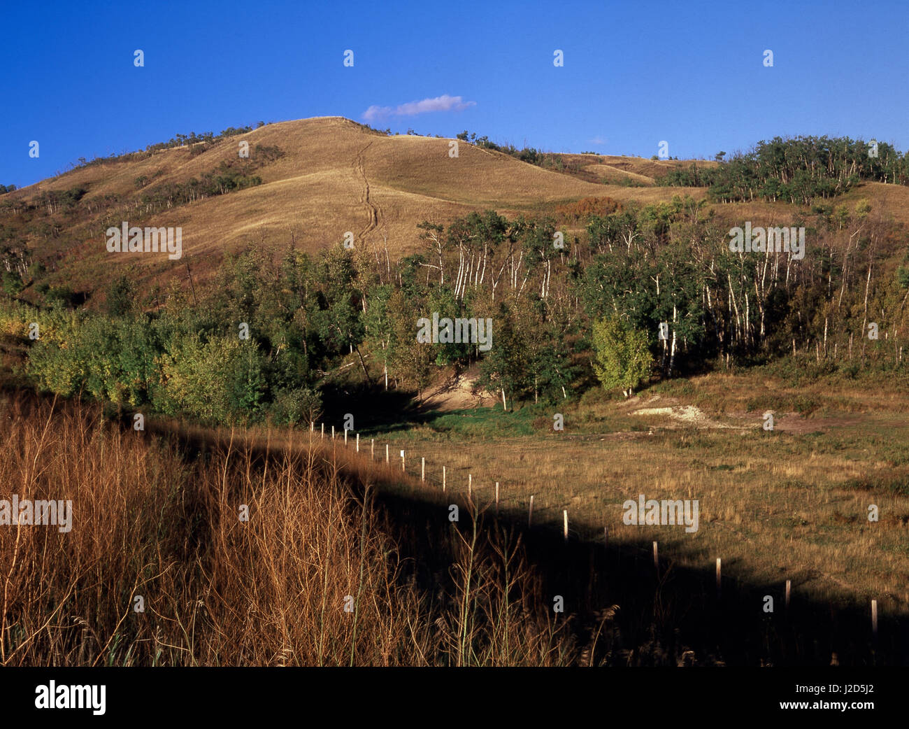 Maidstone saskatchewan hi-res stock photography and images - Alamy