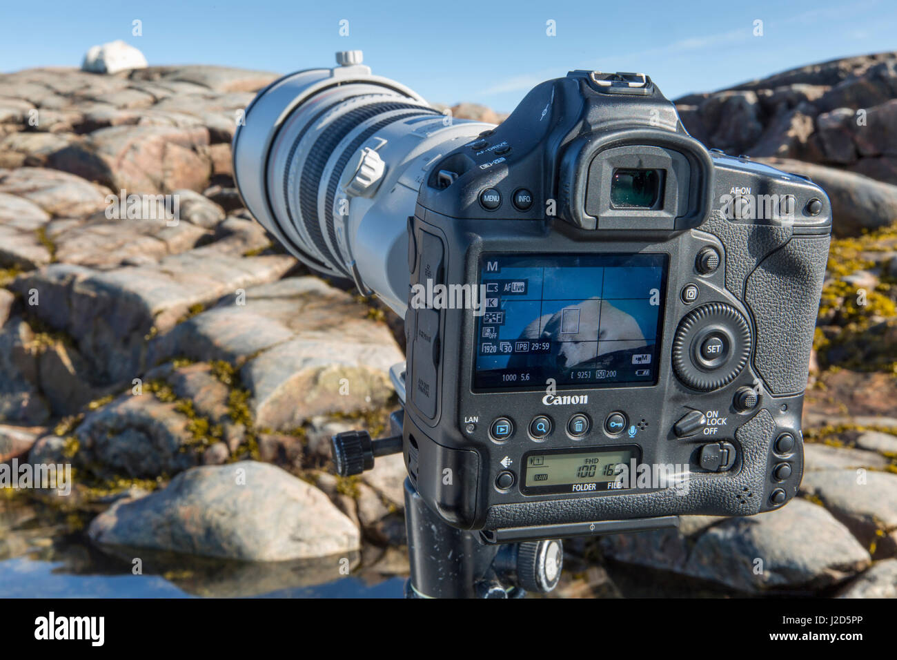 Canada, Nunavut Territory, Repulse Bay, View of Canon camera display of ...