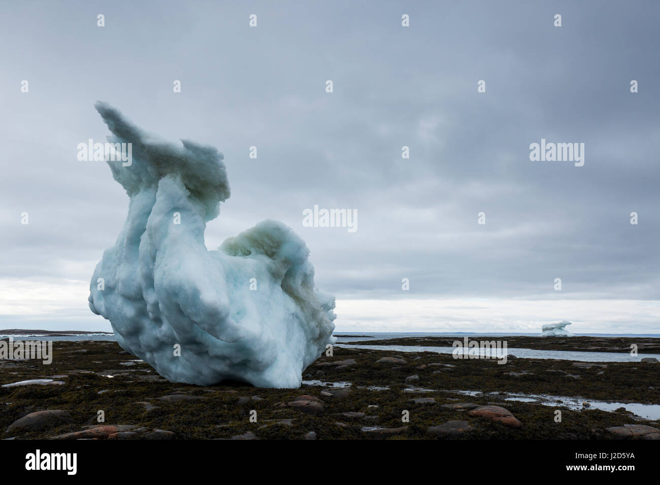 Canada, Nunavut Territory, Repulse Bay, Massive icebergs grounded at ...
