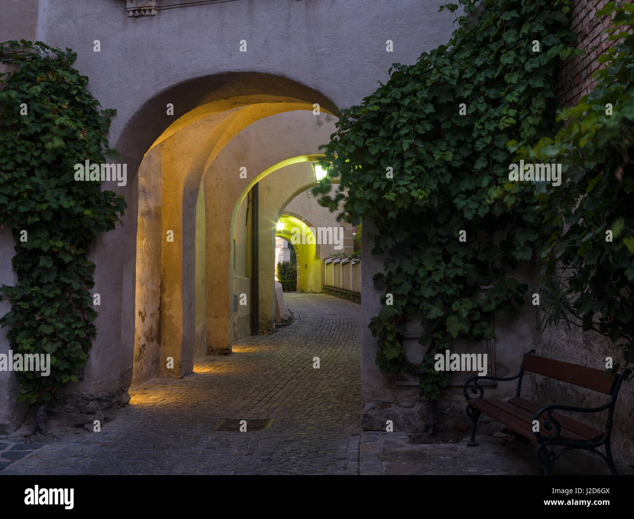 The village Spitz in the Wachau. The Wachau is a famous vineyard and ...