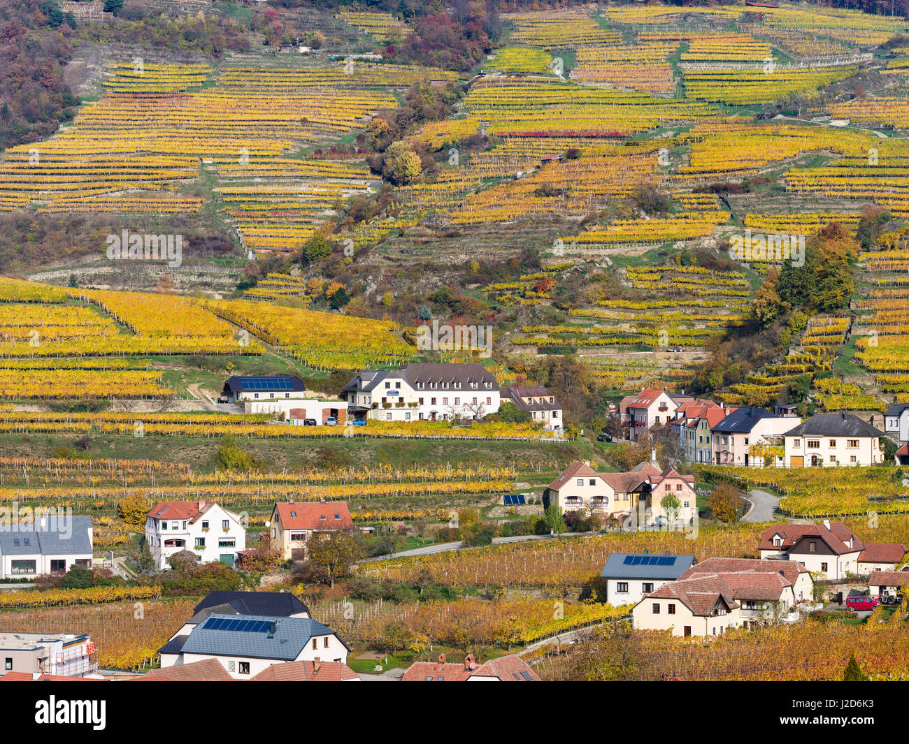 The village Spitz in the Wachau. The Wachau is a famous vineyard and ...