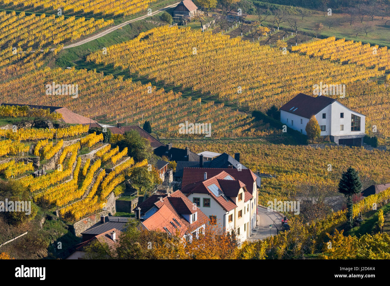 The village Spitz in the Wachau. The Wachau is a famous vineyard and ...