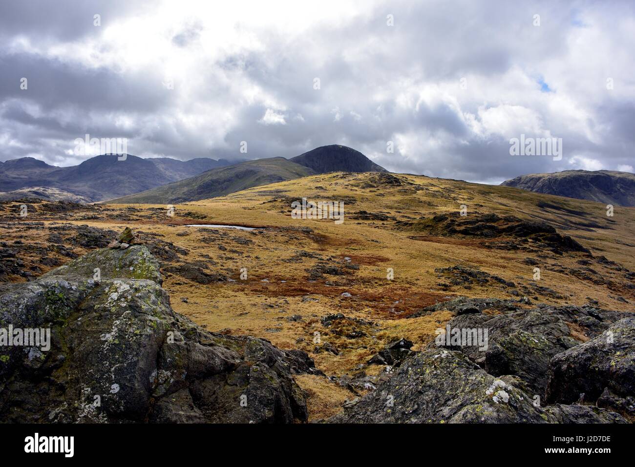 Brandreth hi-res stock photography and images - Alamy